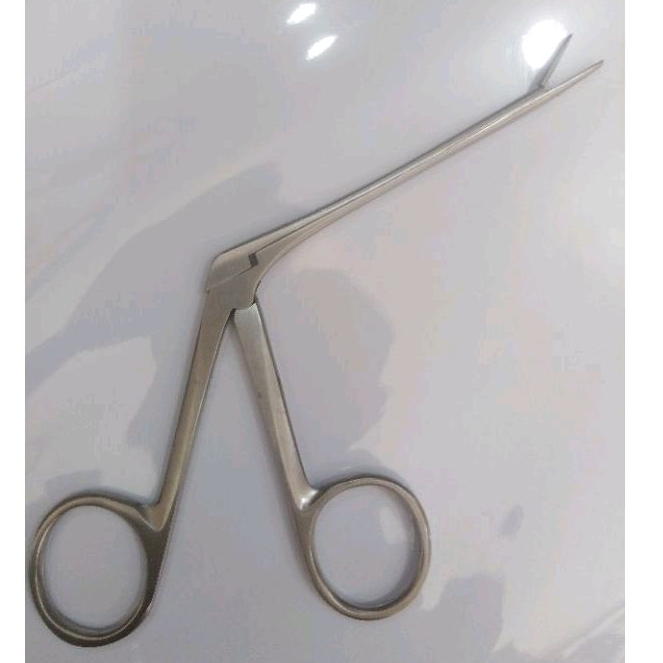Alligator forceps (stainless per piece) | Shopee Philippines