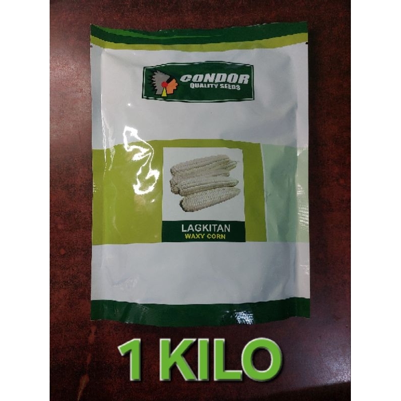Lagkitan Waxy Corn (1 kilo) Puting Mais by Condor | Shopee Philippines