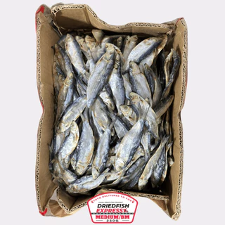 dried fish - Best Prices and Online Promos - Jun 2024 | Shopee Philippines