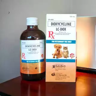 doxycycline - Best Prices and Online Promos - Jul 2024 | Shopee Philippines