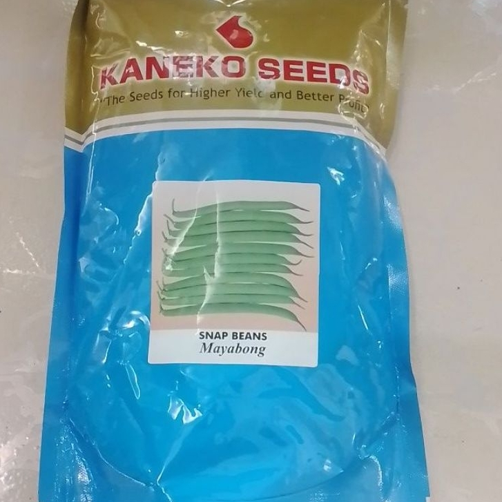 MAYABONG SNAP BEAN SEEDS (1 KILO )KANEKO SEEDS | Shopee Philippines