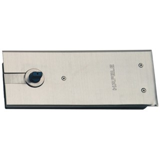 Hafele Floor Pivot Hinge Complete | Shopee Philippines