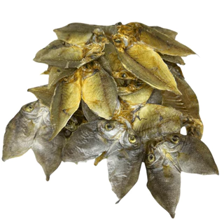 danggit - Best Prices and Online Promos - Oct 2025 | Shopee Philippines