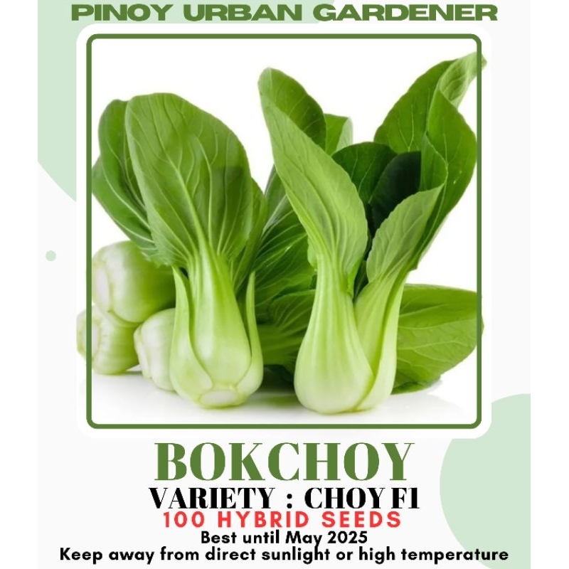 Vegetable Seeds Pechay Kamatis Sili Talong Ampalaya kangkong Okra Sitaw ...