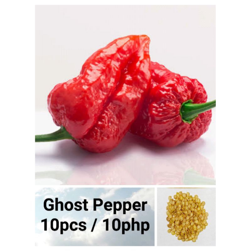 Ghost Pepper Seeds (10pcs) | Shopee Philippines