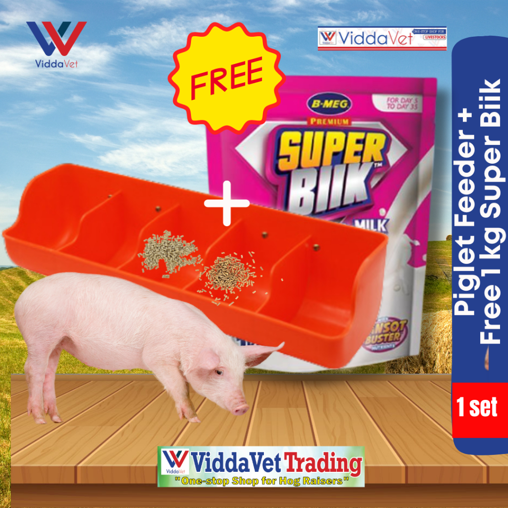 Viddavet Piglet Feeding Automatic Feeder Plastic Piglet Trough + B Meg ...