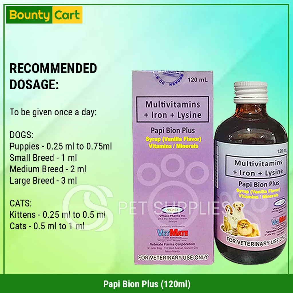 BC-Papi Bion Plus Syrup Multivitamins+Iron+Lysine Vanilla Flavor ...