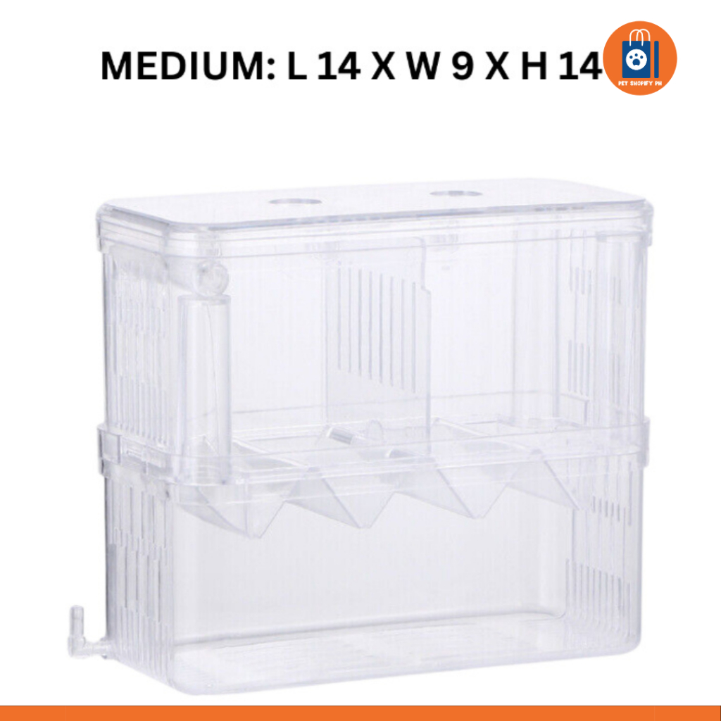 RAINBOW BREEDING BOX / GUPPY BREEDING BOX for Betta Fish isolation Box ...