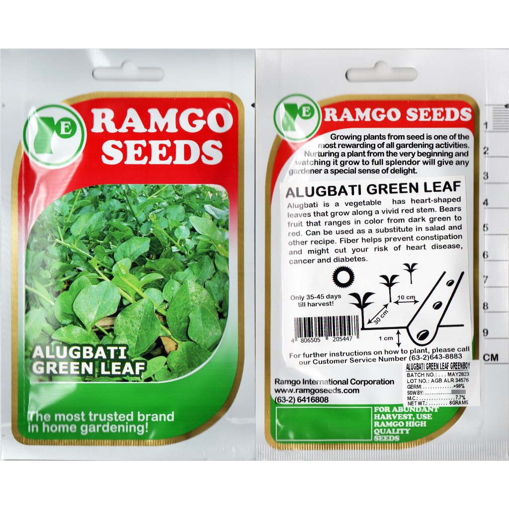 RPO Alugbati Green Leaf Seeds 8g_kc241207 | Shopee Philippines