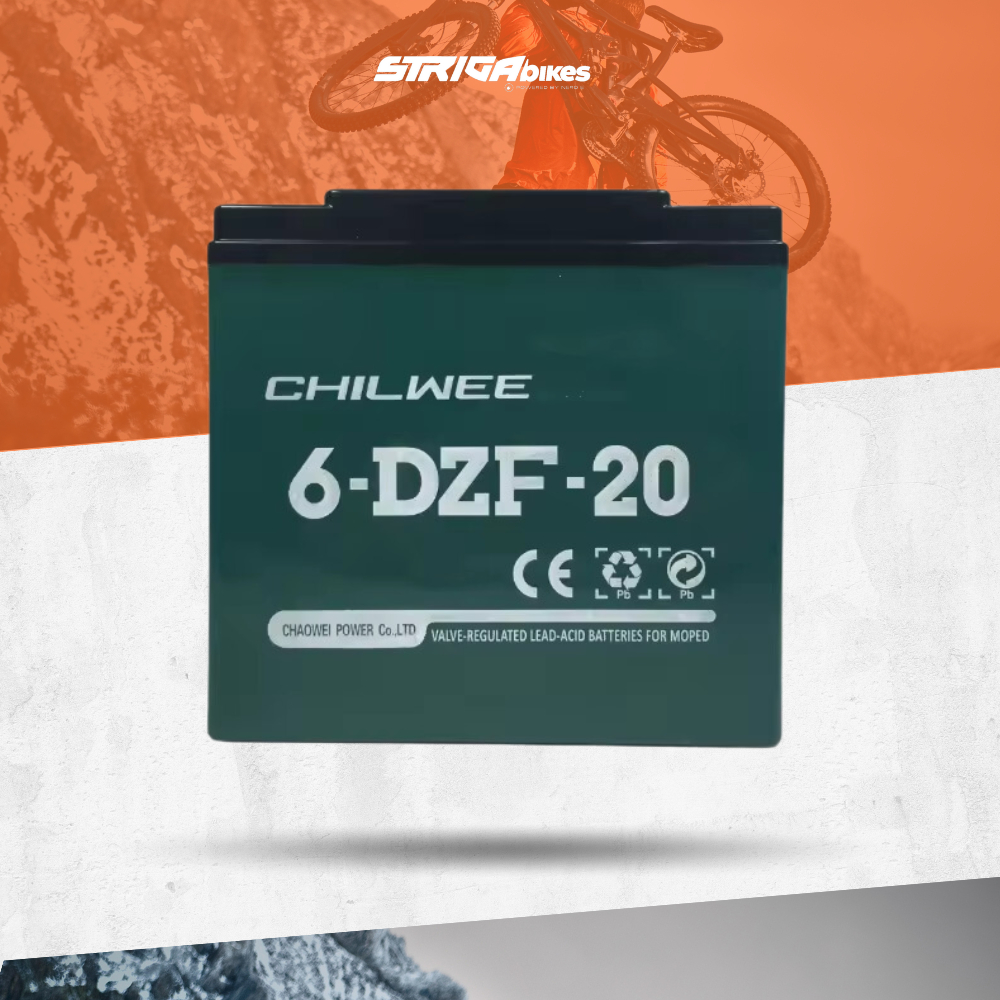 Chilwee Battery 48V20Ah | Shopee Philippines