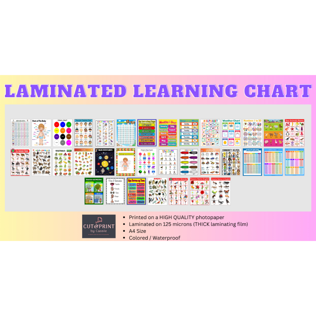 Laminated Educational Chart for Kids A4 Size | Shopee Philippines