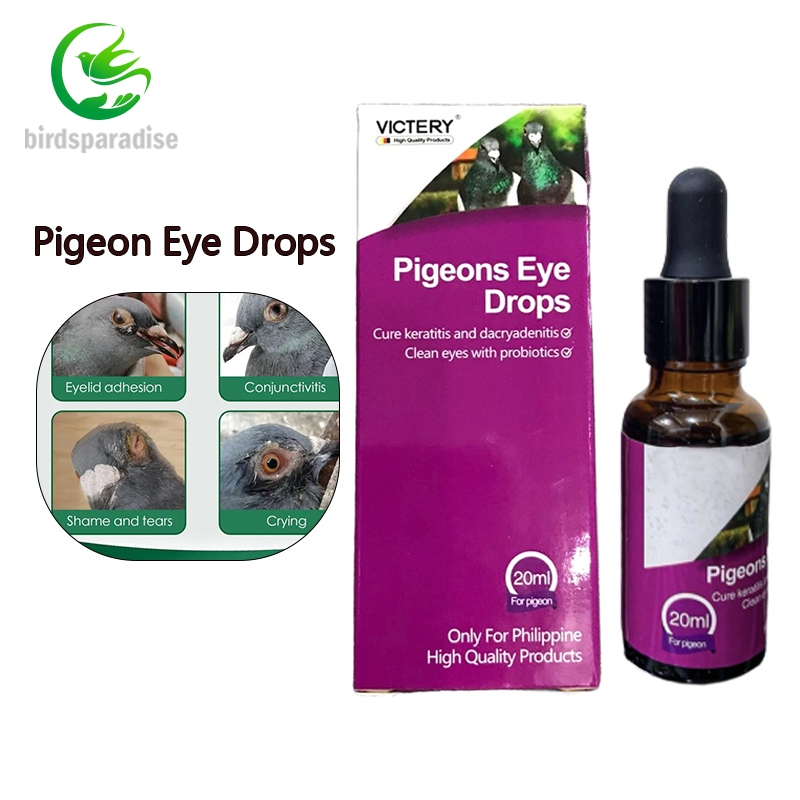1/2/5 Bottle Pigeon Eye Drops to Eye Cold Clean eyes for Pigeons Bird ...