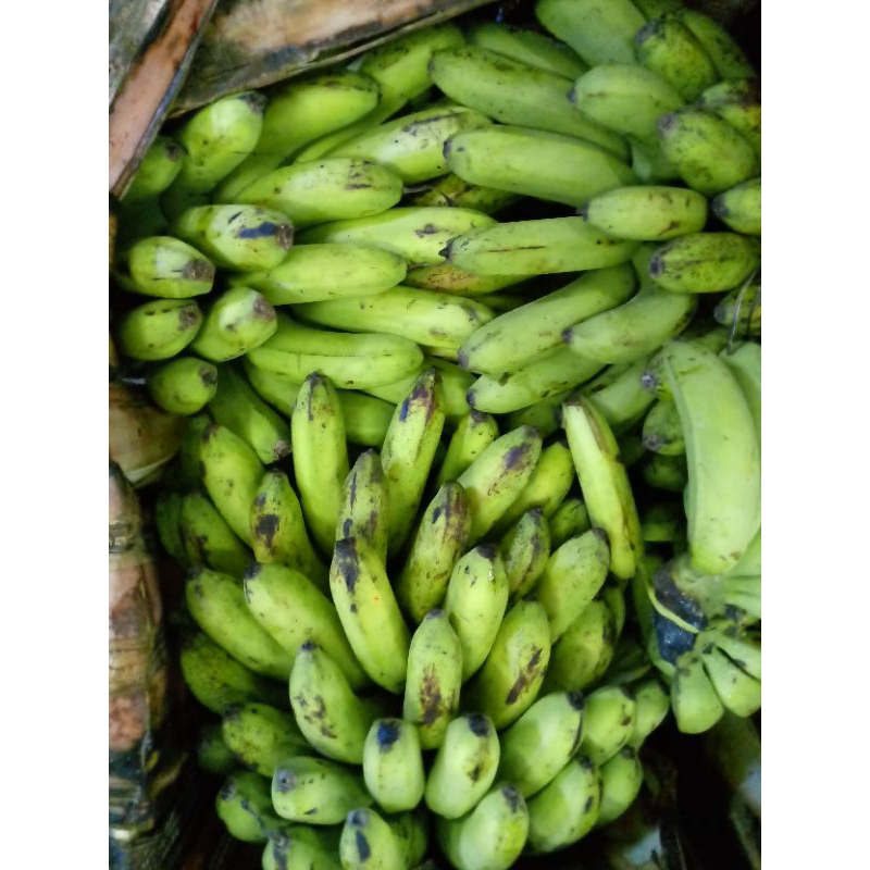 banana lakatan green | Shopee Philippines