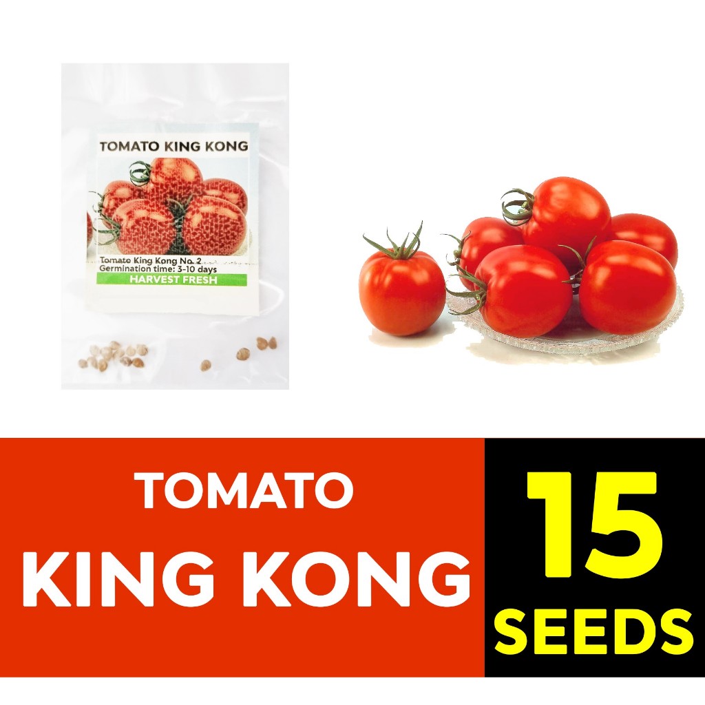 Tomato Seeds - Cherry Athena Roma Champ KingKong Pink Diamond Floradade ...