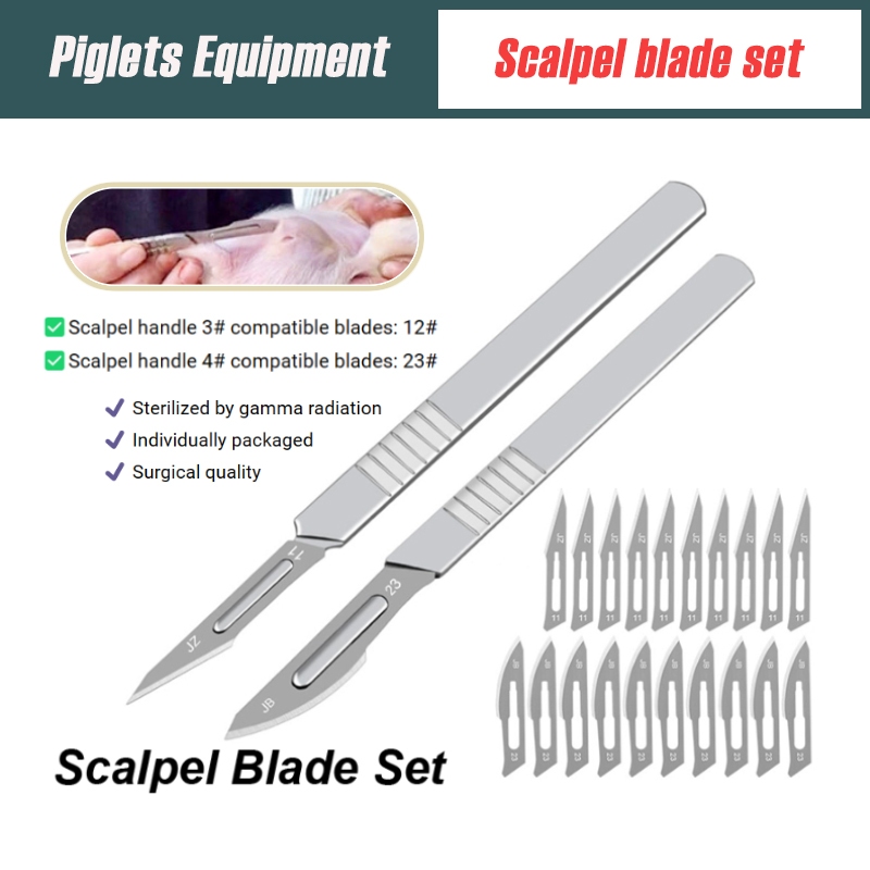 10Pcs Sterile Scalpel Blades Set Carbon Steel Surgical Blade with ...