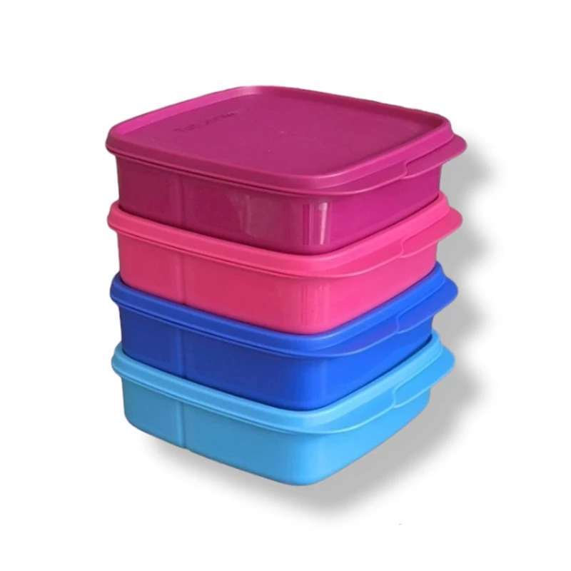 Tupperware Square Divided Lunch [Lunch Box] [Bento Box] [Food Storage ...