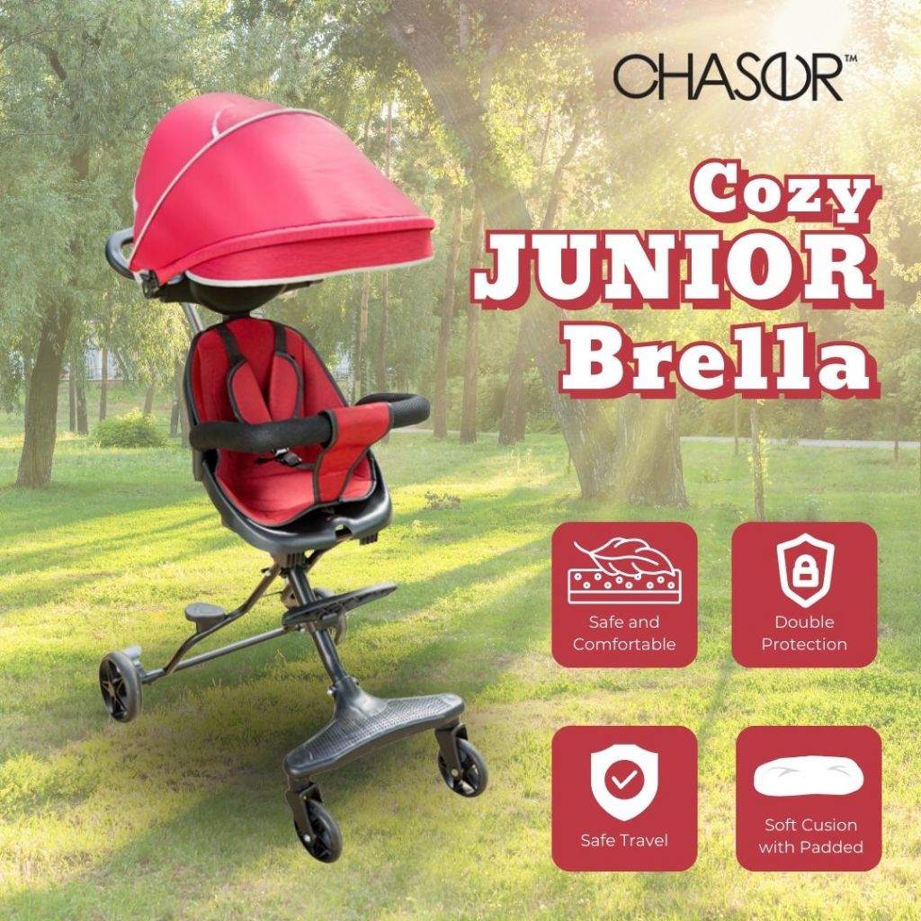 Chaser Cozy Junior Brella Push Trike – Baby Stroller Bike for Boys ...