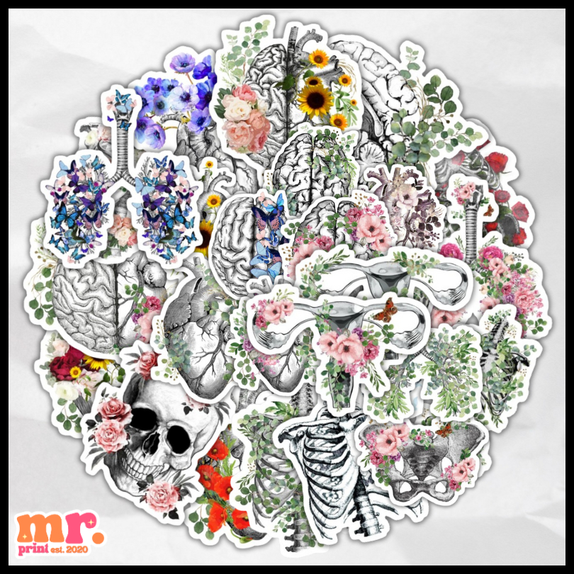FLORAL ORGANS VOL 1 STICKERS HUMAN ANATOMY WATERPROOF | Shopee Philippines