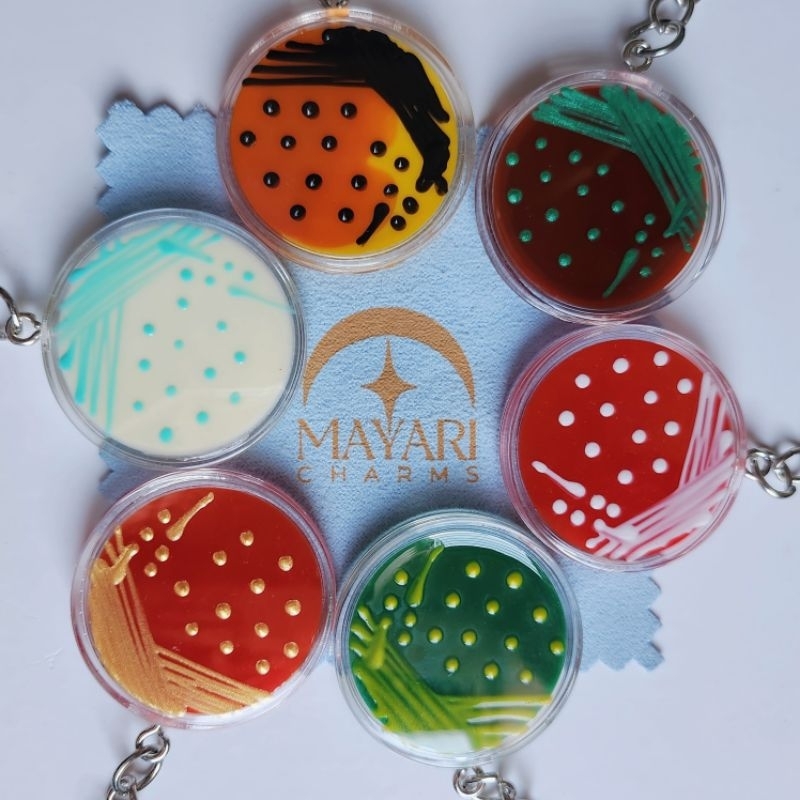 Resin Agar Petri Dish Plate Keychain (Random design) | Shopee Philippines