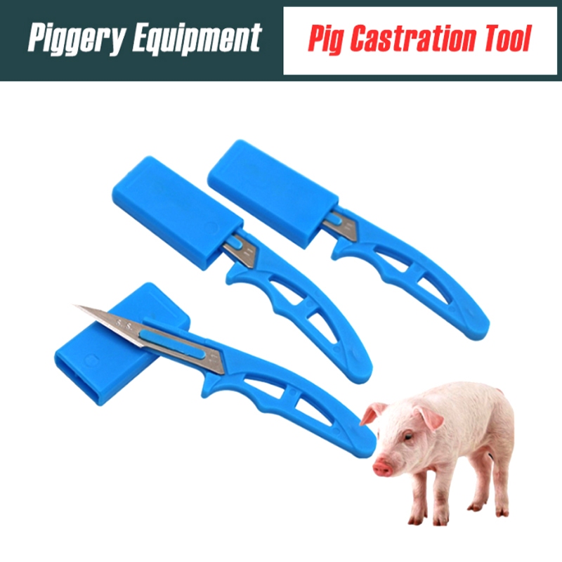 Piglet castration knife 2Pcs Pig Castration Tools 12 Gauge Scalpel Blades for Piglet Livestock ...