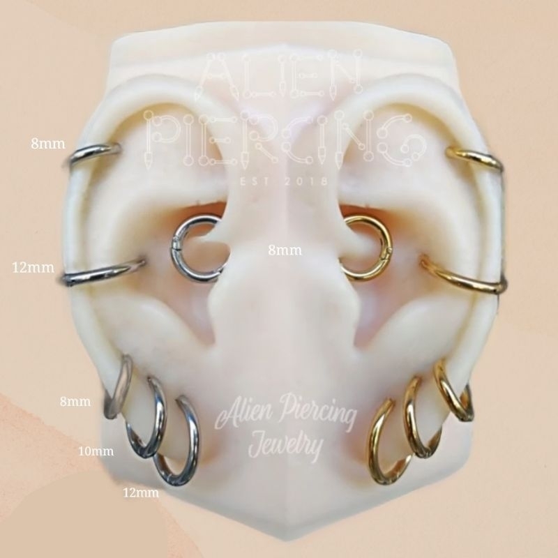𝘽𝙖𝙨𝙞𝙘 𝘾𝙡𝙞𝙘𝙠𝙚𝙧 𝙏𝙝𝙞𝙘𝙠 𝙃𝙤𝙤𝙥 Earrings | 316L Surgical Stainless Steel Alien ...