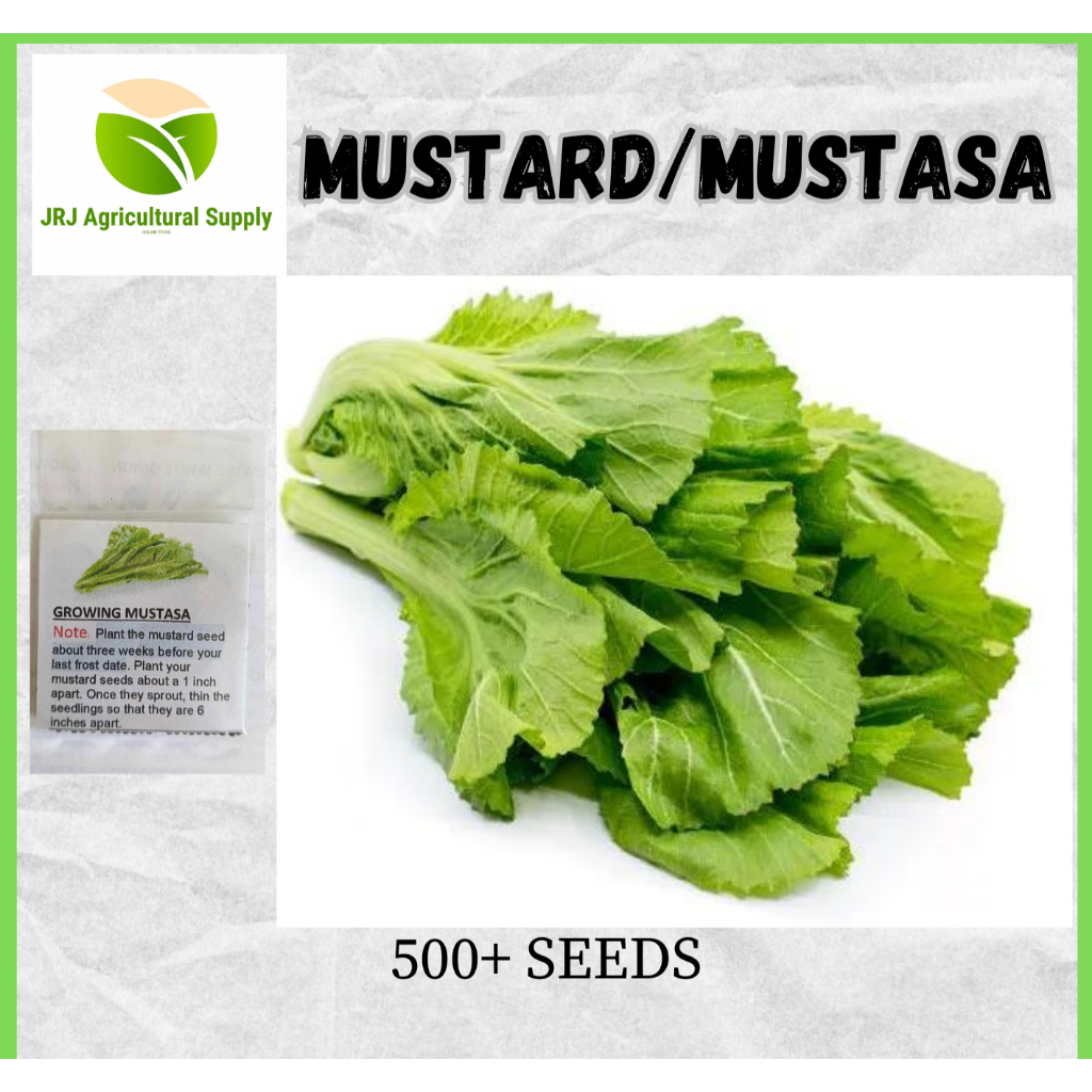 Mustasa Monteverde 1000 SEEDS - (1pack) | Shopee Philippines