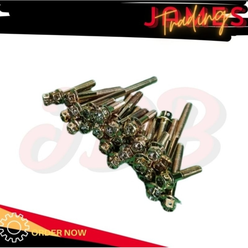 CRANKCASE BOLT FOR RAIDER 150 FI | Shopee Philippines