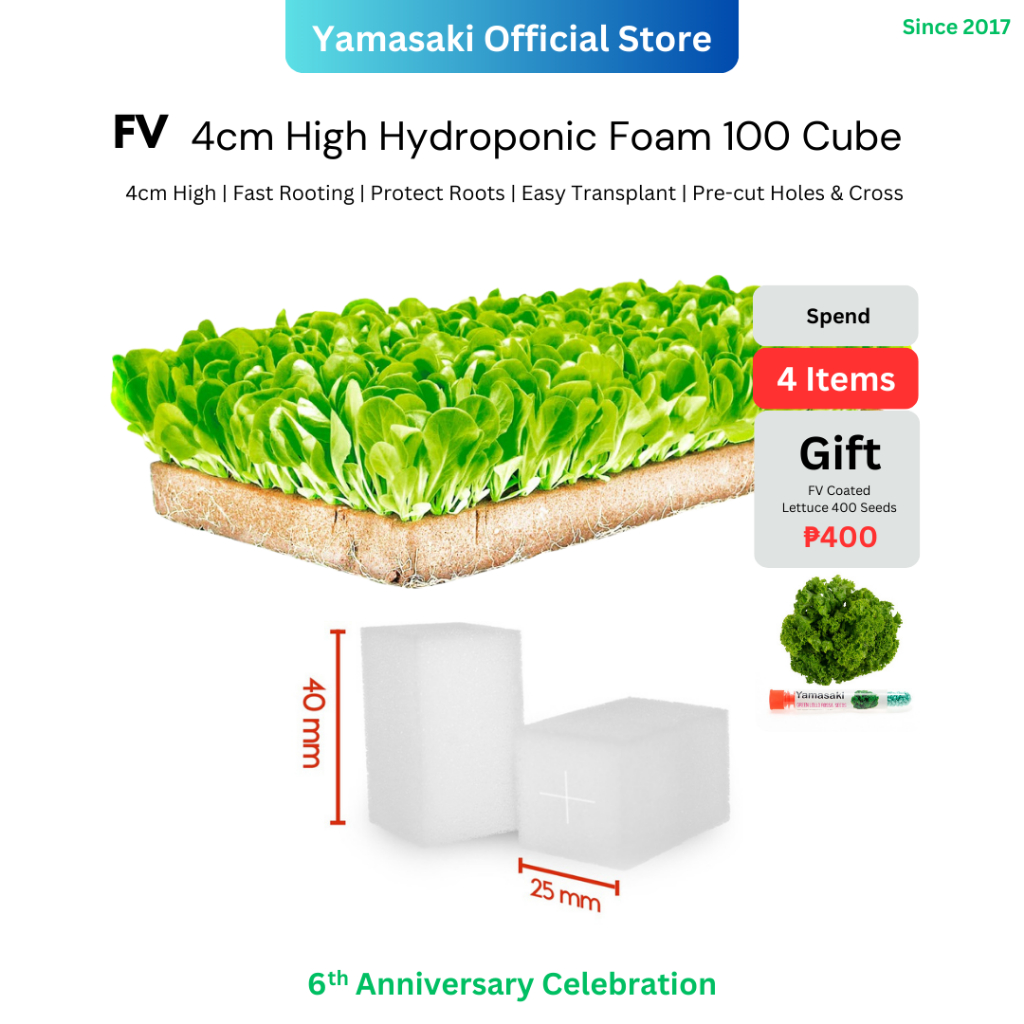 FV 4cm High Hydroponic Foam 100 Cube | hydroponic sponge foam for ...
