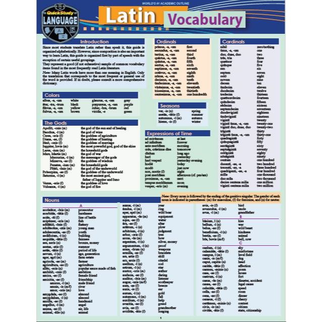 Latin Vocabulary and Grammar Chart | Colored Laminated Language ...
