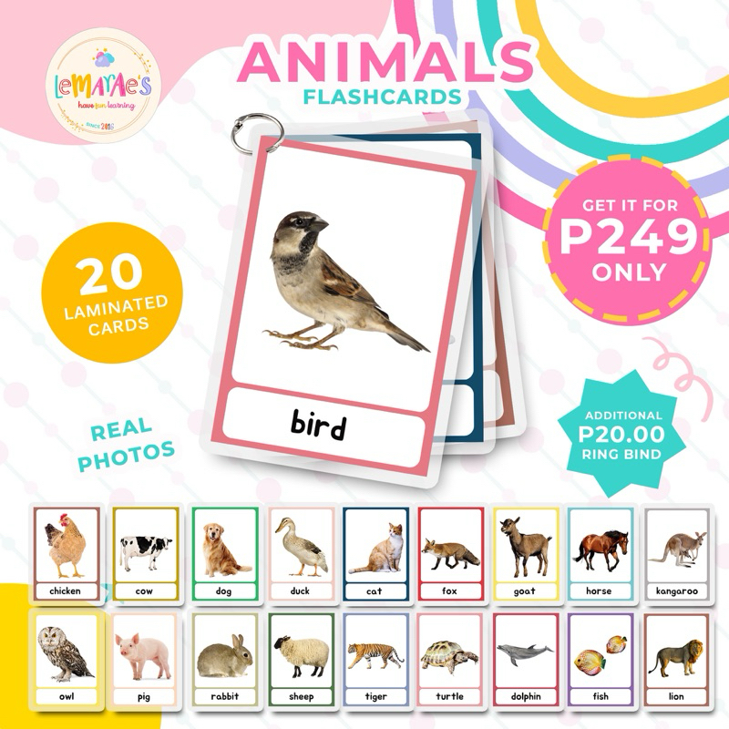 Animals Real Photos Flashcards Laminated Educational Flashcards Kids ...