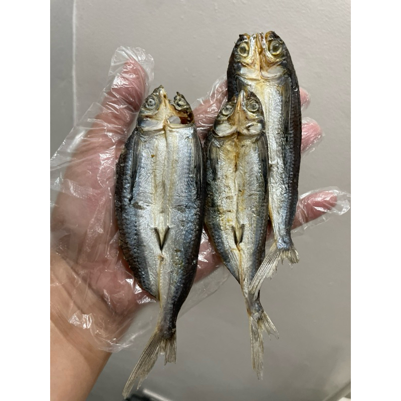 Flying Fish from Bicol 100grams | Shopee Philippines