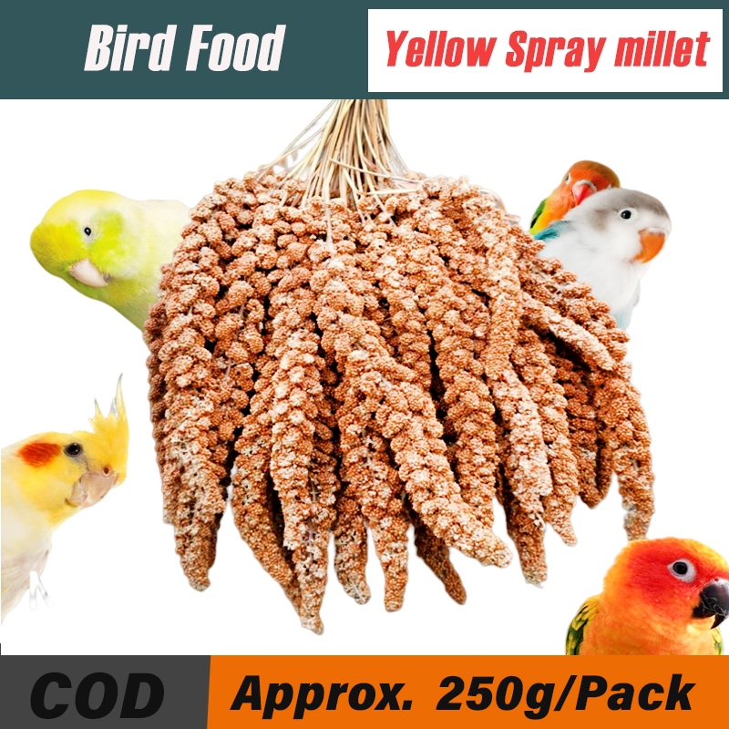 250g Yellow Spray millet Parrot Food Bird Seeds Feed natural grain with ...