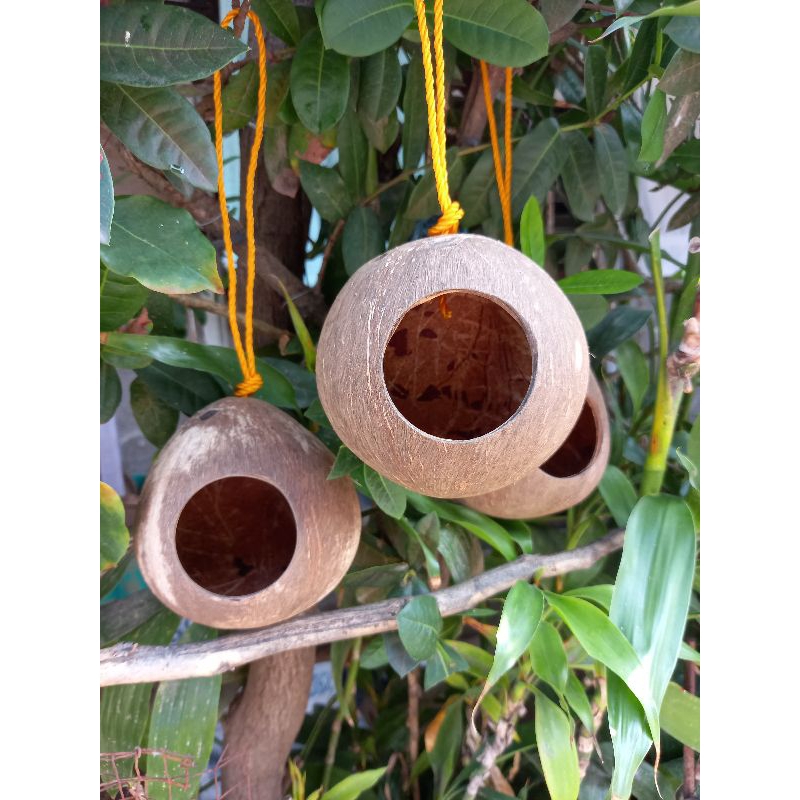 1 Hole Coconut Bird house/ Nest / Cage | Shopee Philippines
