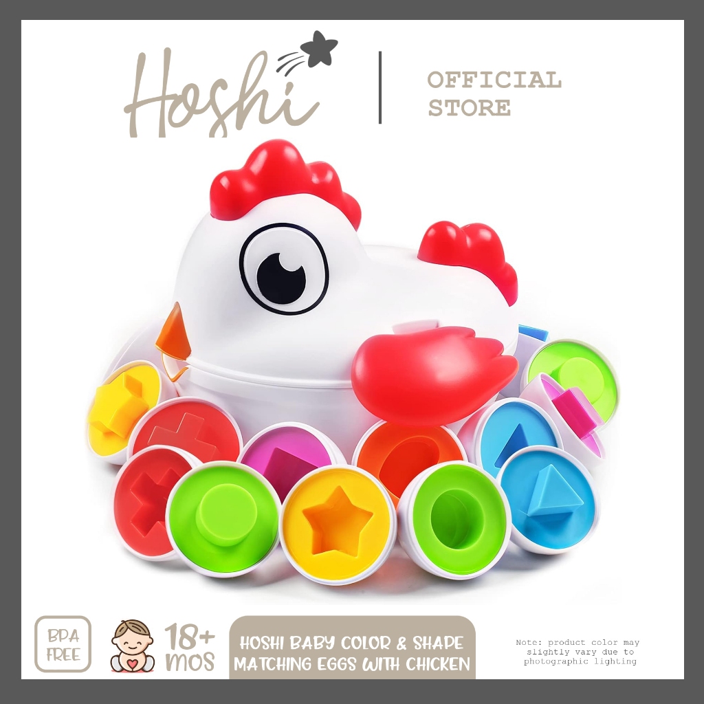 Hoshi Baby Color and Shape Matching Eggs with Chicken, Montessori ...