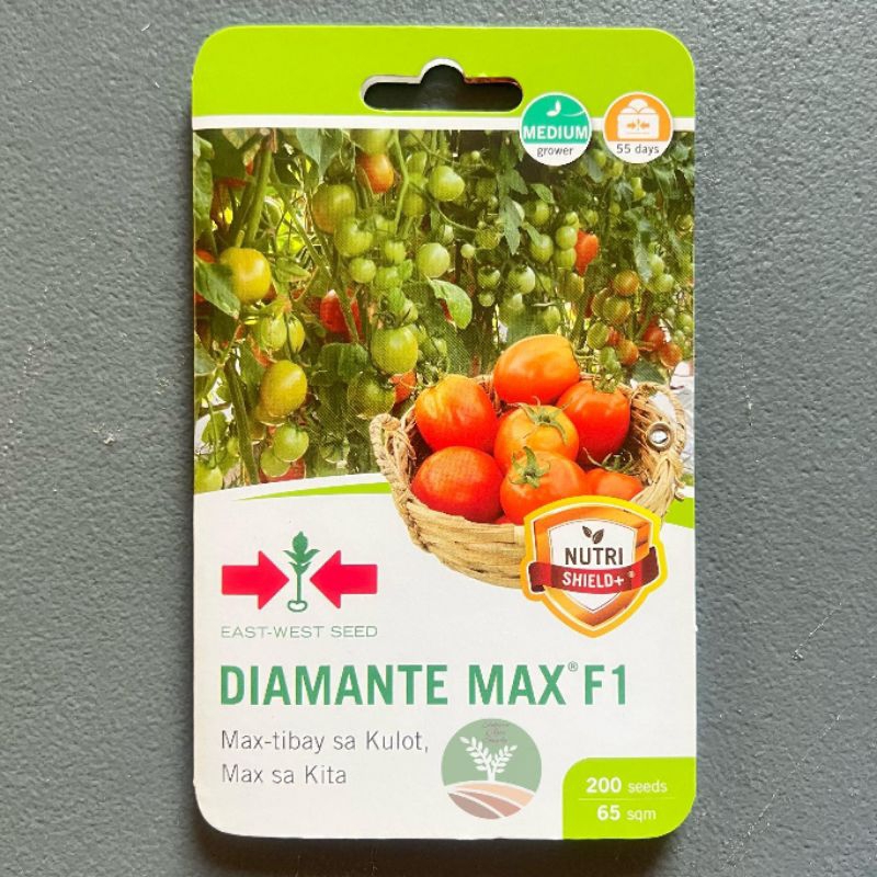 DIAMANTE MAX F1 DMAX EAST WEST HYBRID TOMATO(KAMATIS) QUALITY VEGETABLE ...