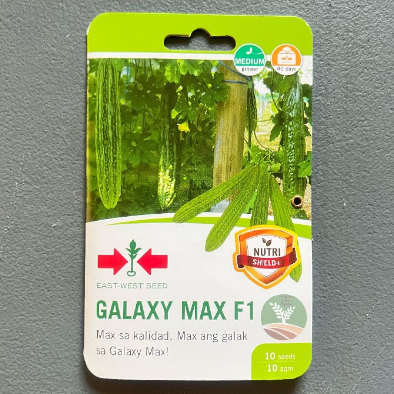 GALAXY MAX F1 EAST WEST AMPALAYA SEED HYBRID BITTER GOURD VEGETABLE ...