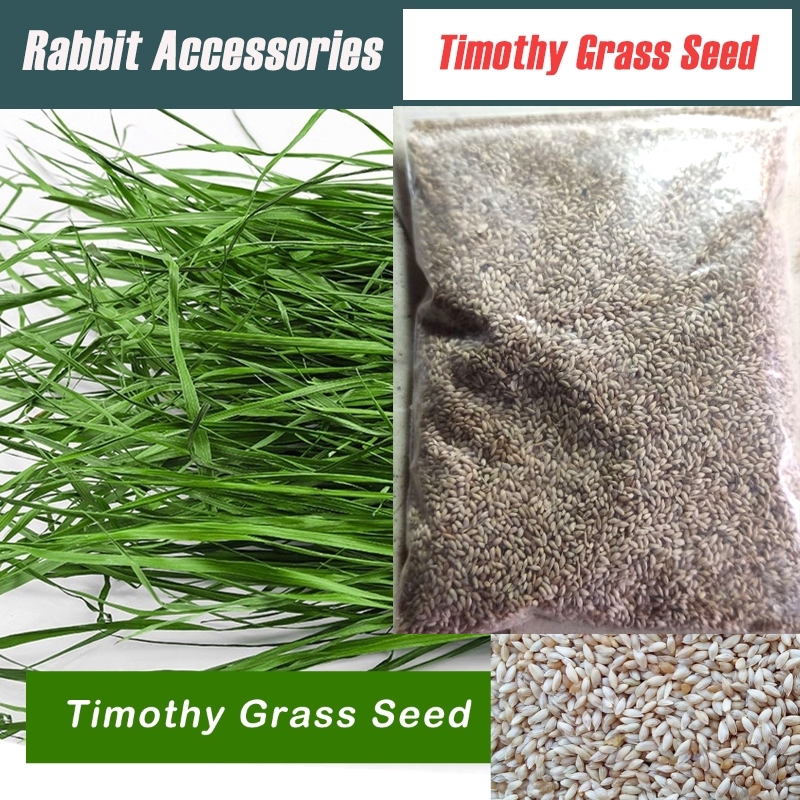 30g Timothy hay seeds Alfalfa seeds Rabbit feed grass forage Timothy ...