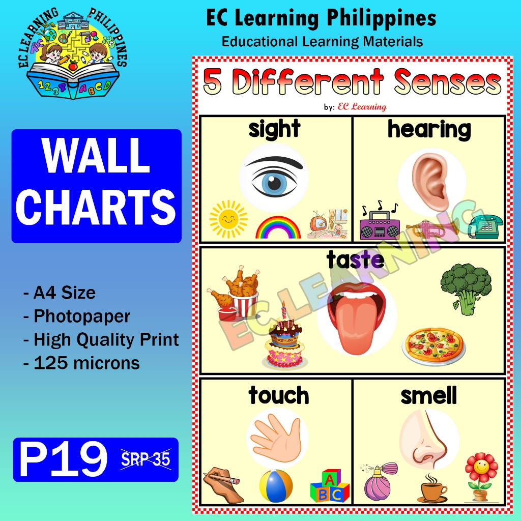 5 SENSES Laminated Educational Wall Chart for Kids - EC LEARNING ...
