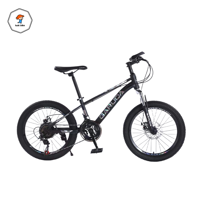 Garuda Mountain Bike 21 SPEED alloy Adult Bicycles Men's Variable Speed ...