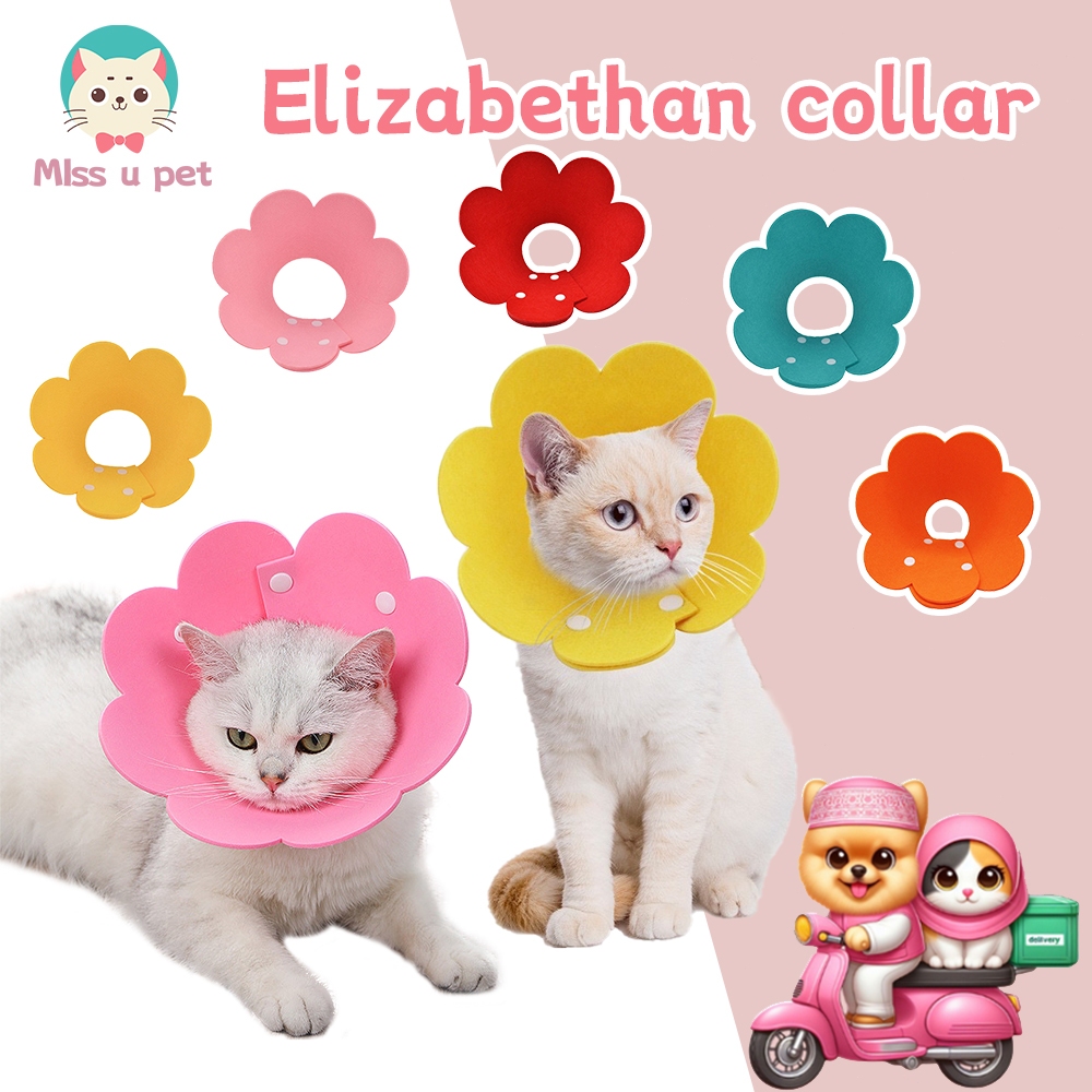 Pet Elizabeth Collar Cat Dog Recovery Collar Cute Flower Adjustable ...