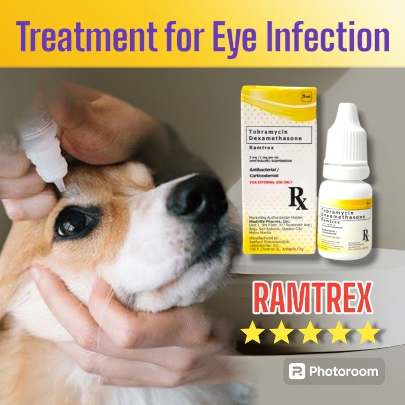 RAMTREX / TOBRASON | EYE DROPS FOR PETS | 10g | Shopee Philippines