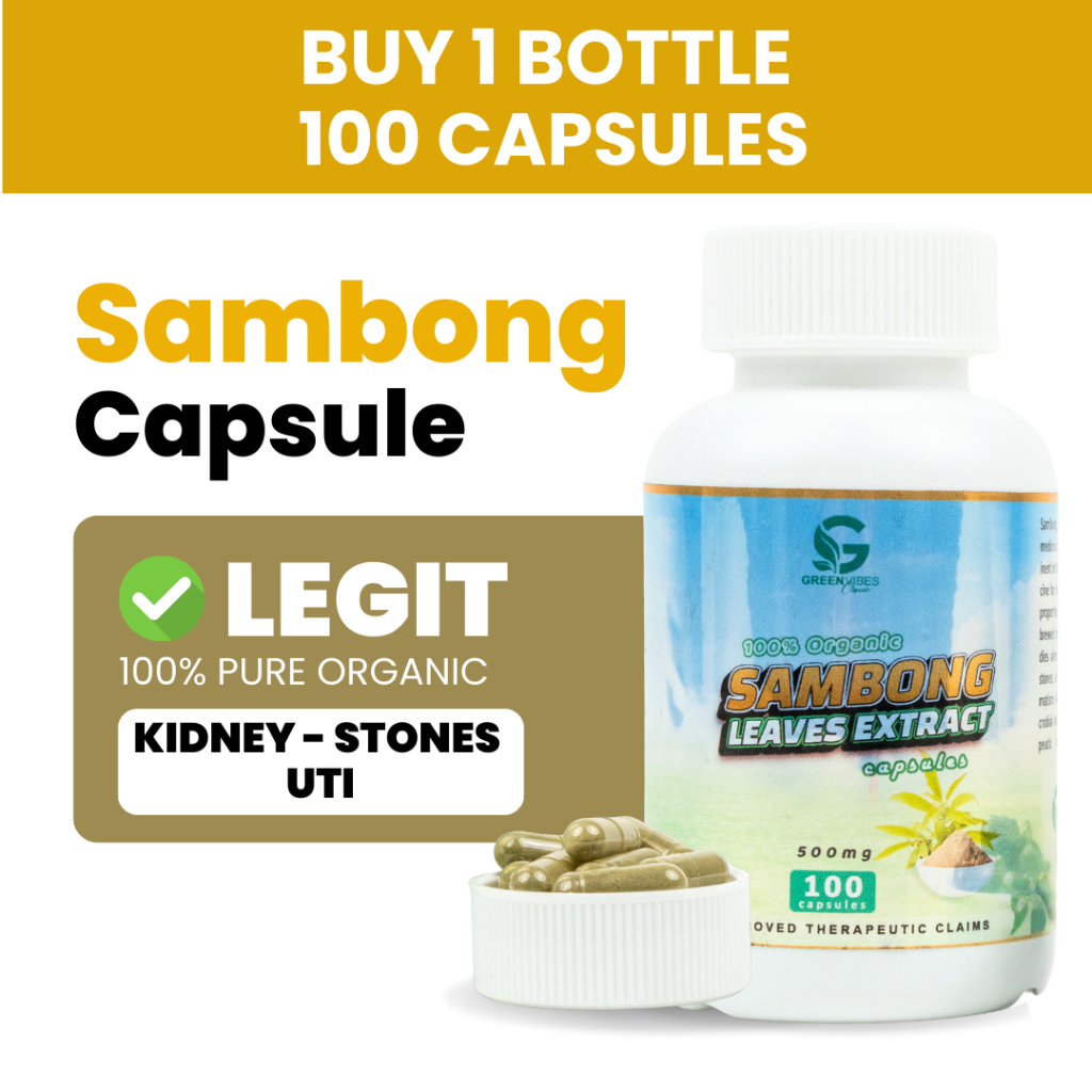 Sambong Capsule for UTI Support, Healthy Gall Bladder, Kidney Cleanse ...