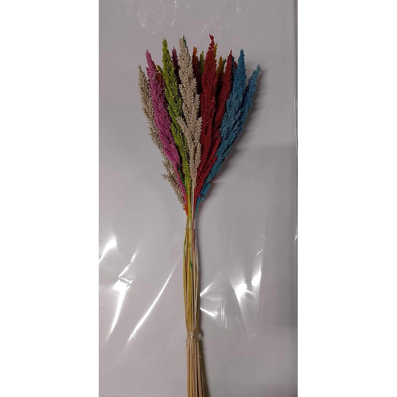 Dried Trigo Grass(LOCAL) | Shopee Philippines