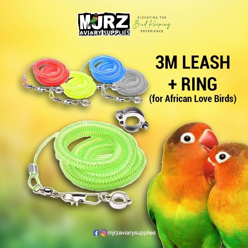 Training Leash with Ring (Albs, Cockatiels/Conure & Ringnecks) | Shopee ...