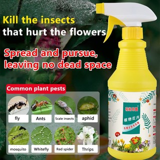 Plant insecticide spray 500ml No harm to plants pesticides for plants ...
