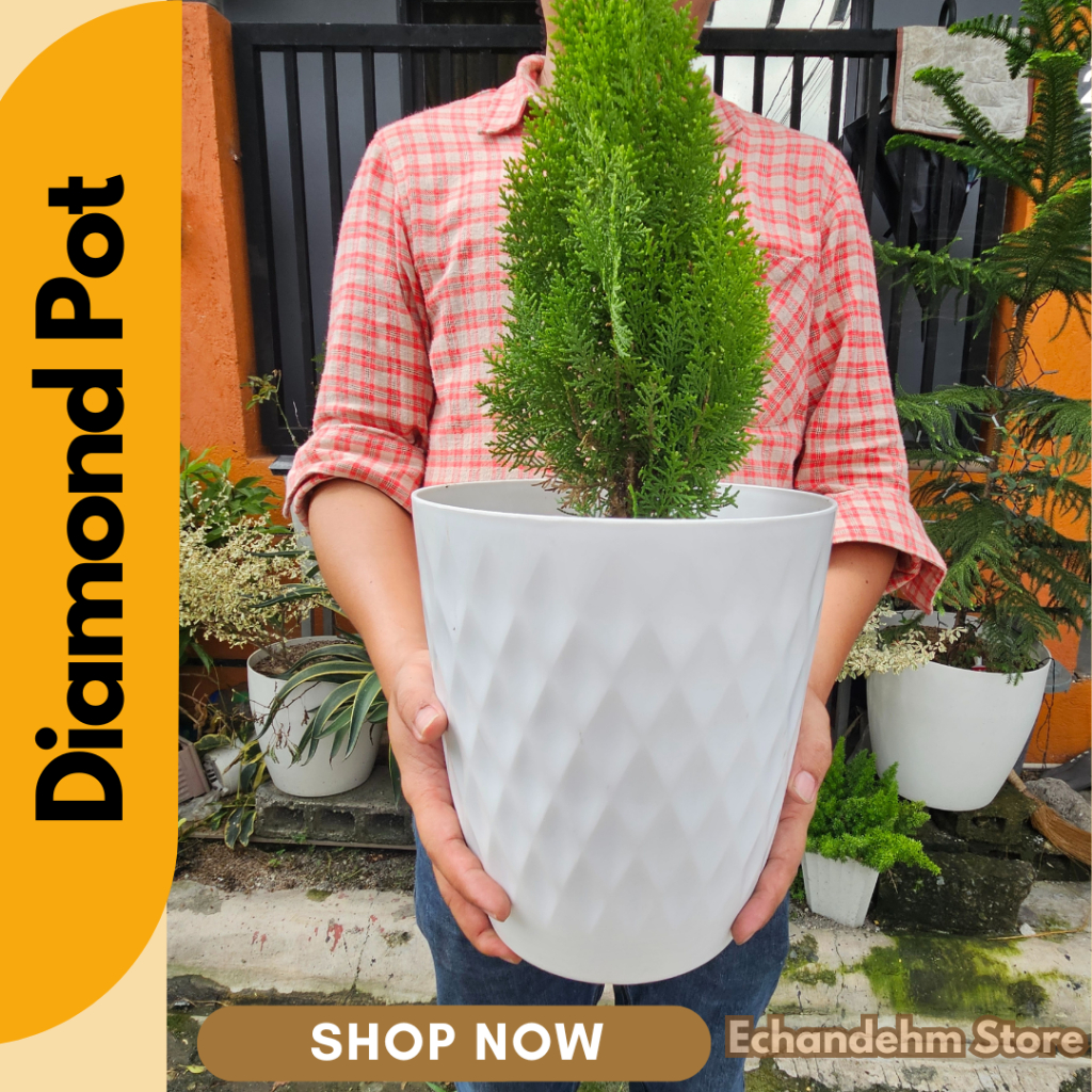 Elegant Diamond Radiance Pot for Plants indoor outdoor White paso for ...