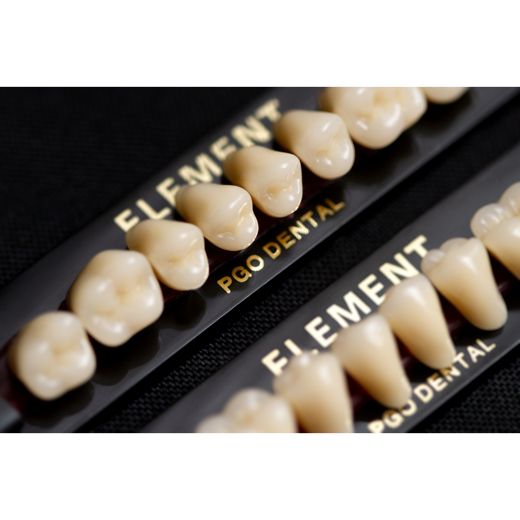 ELEMENT Denture Teeth Posteriors 1x8 set acrylic pontic | Shopee ...