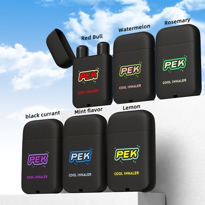 bebe.ph PEK Clamshell Double Hole Vital Oil Energy Bar Cool Nostril ...