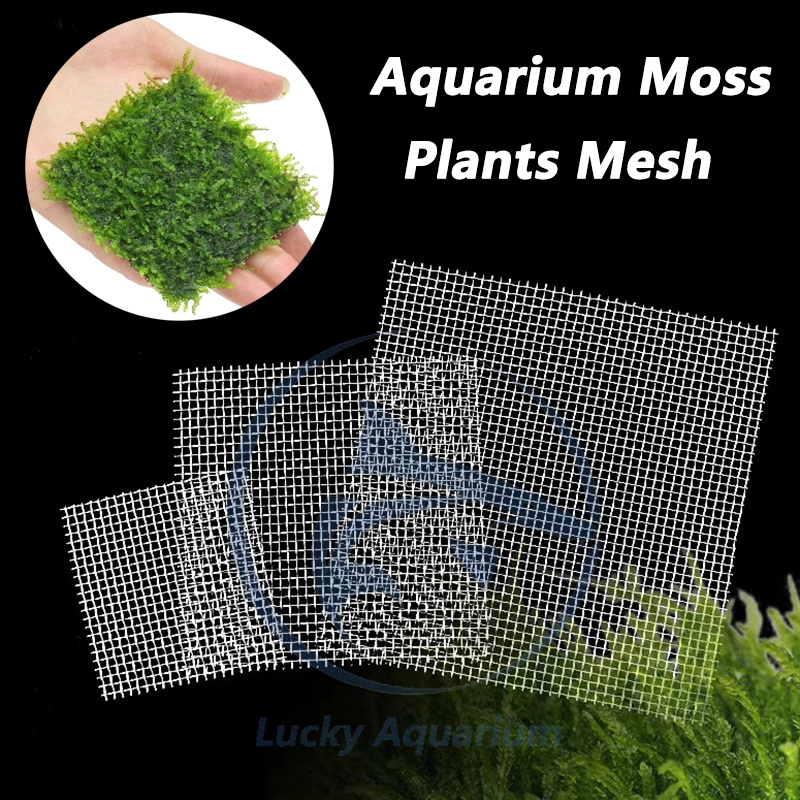 Stainless steel aquarium moss plants mesh Fixed plants and moss for ...