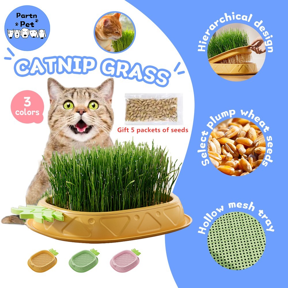 Cat Grass Planter Plastic Catnip Cat Grass Box Without Soil Catnip Grass Kit pot Hydroponic tray ...
